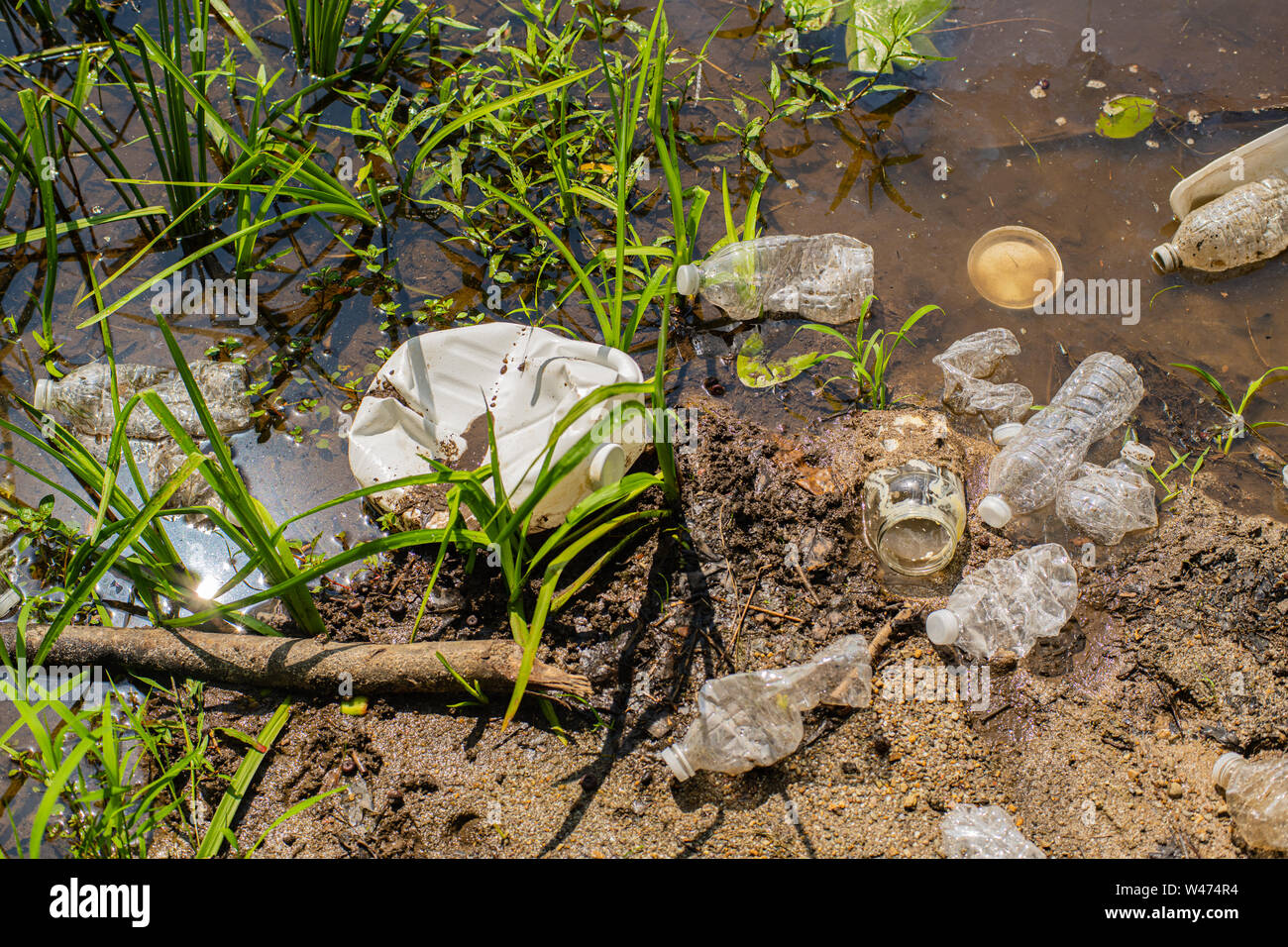 Trash and used plastic bottles in the river. Garbage near lake ...