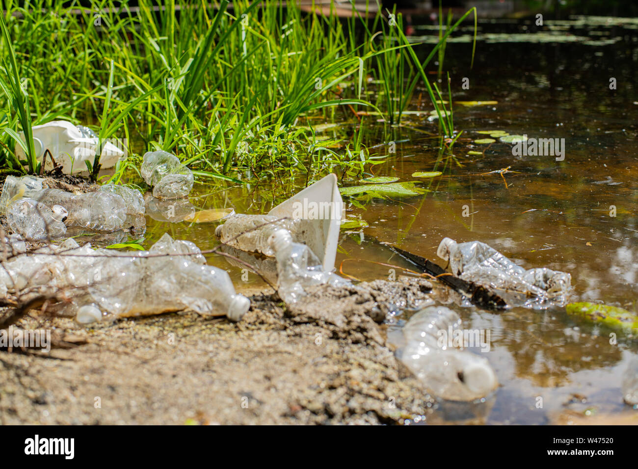 Trash and used plastic bottles in the river. Garbage near lake ...