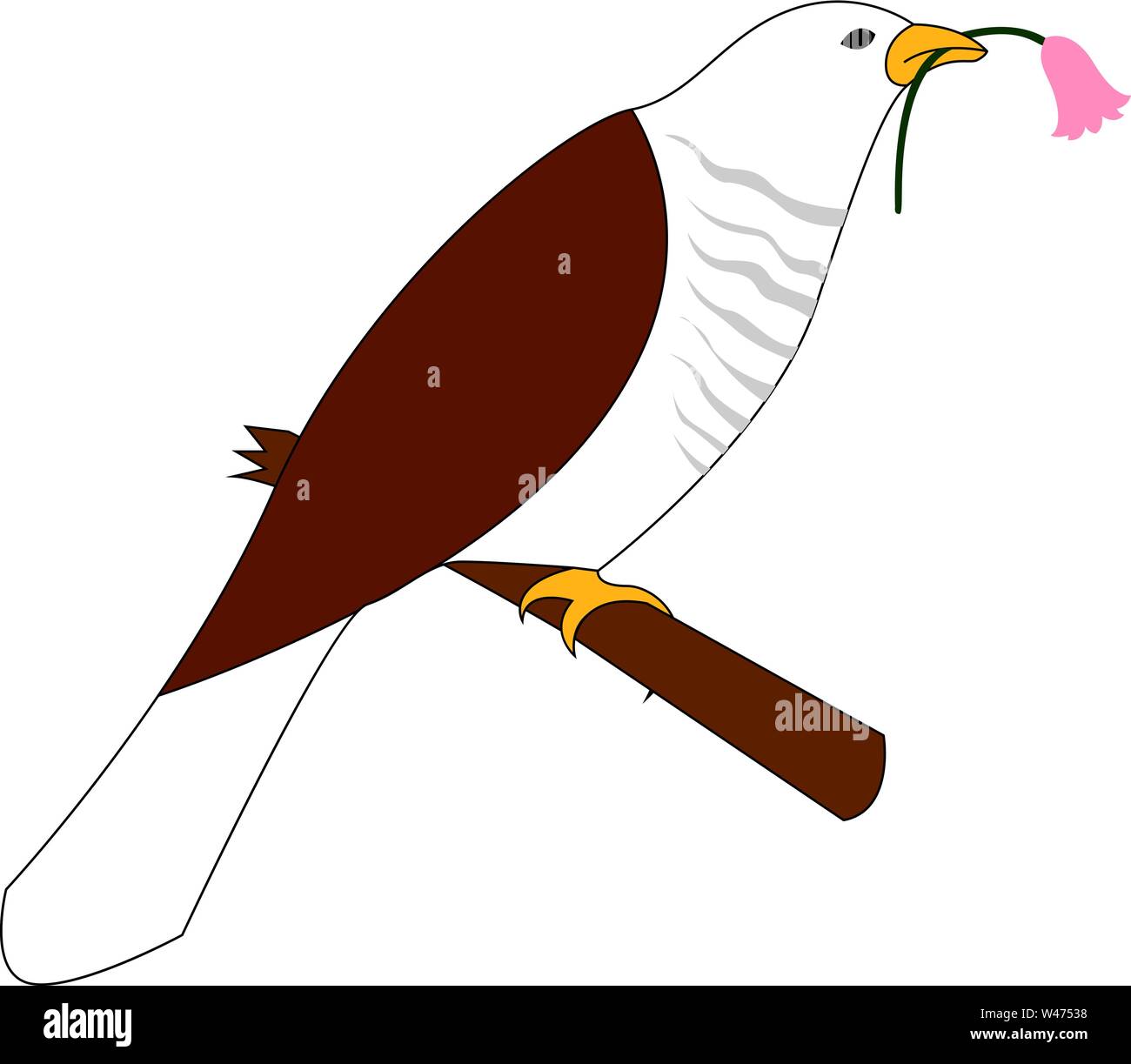 Cuckoo bird, illustration, vector on white background Stock Vector ...