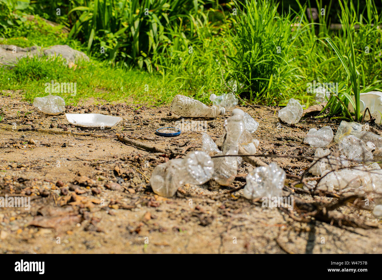 Trash and used plastic bottles in the river. Garbage near lake ...