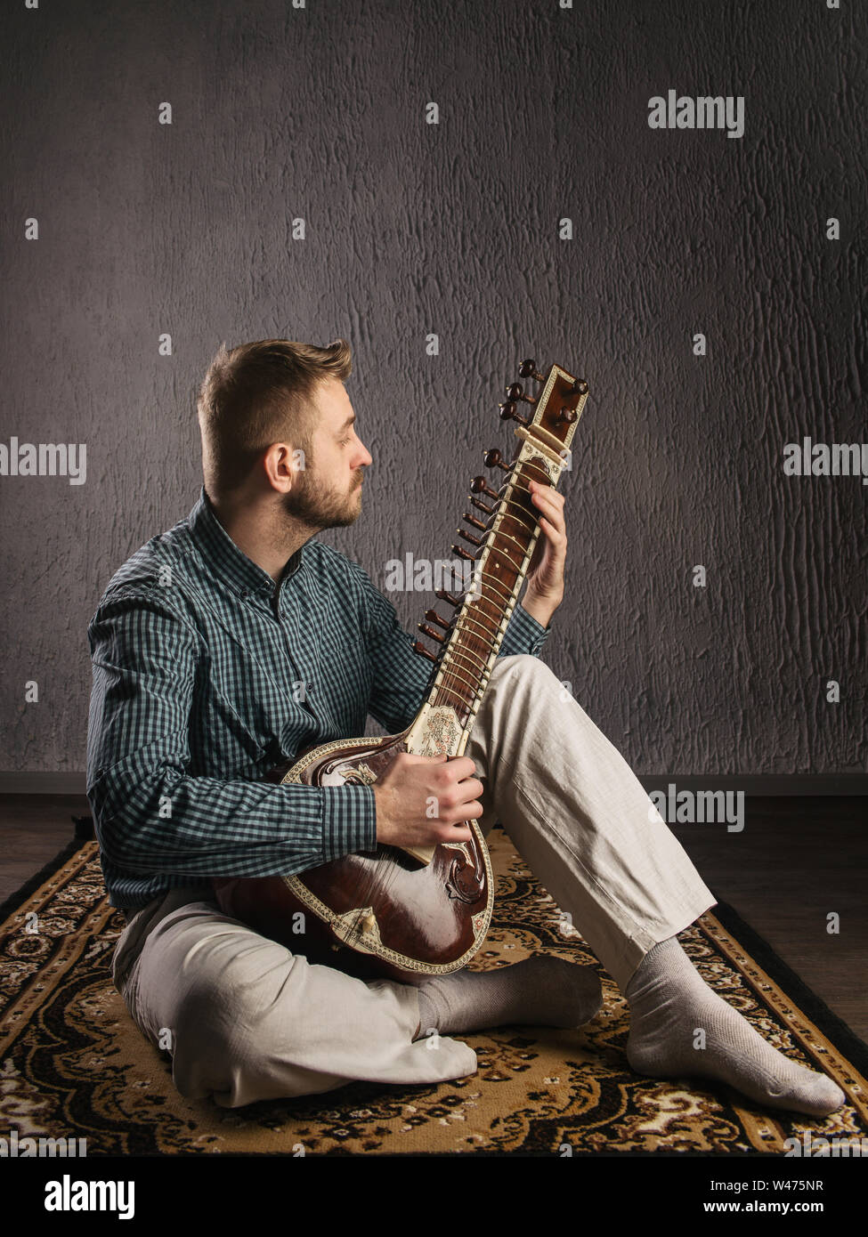 Indian man playing sitar on hi-res stock photography and images - Alamy