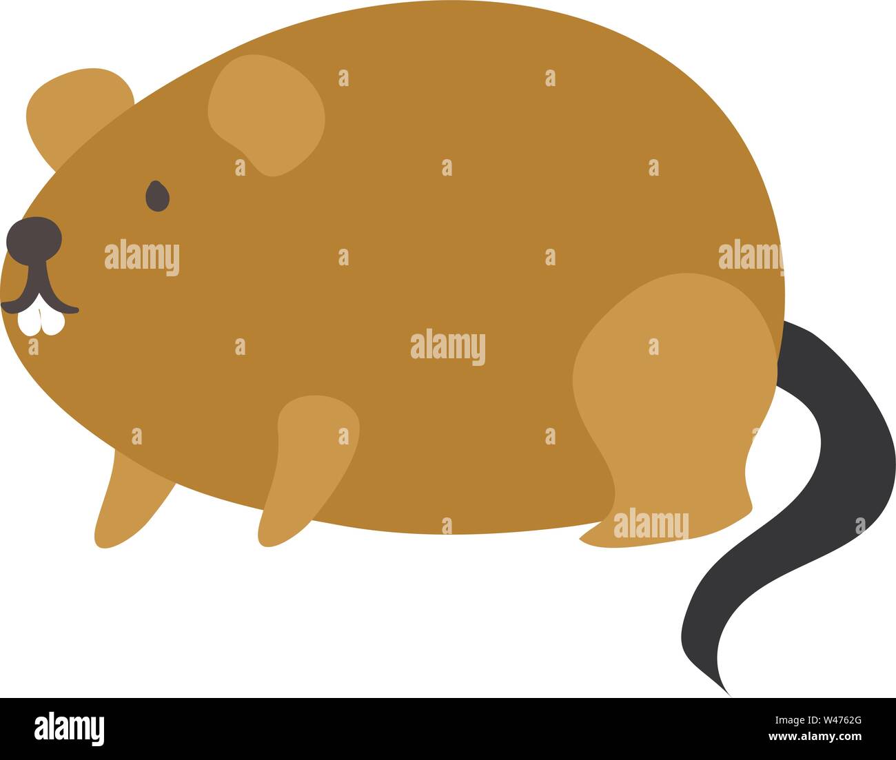 Fat mouse, illustration, vector on white background Stock Vector Image ...