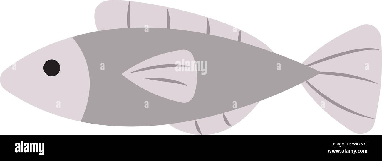 Silver fish, illustration, vector on white background Stock Vector ...