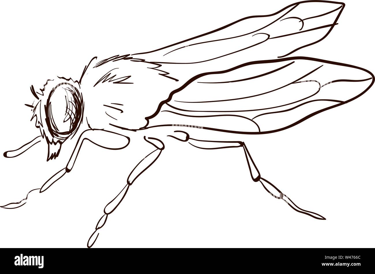 Fly drawing, illustration, vector on white background Stock Vector ...
