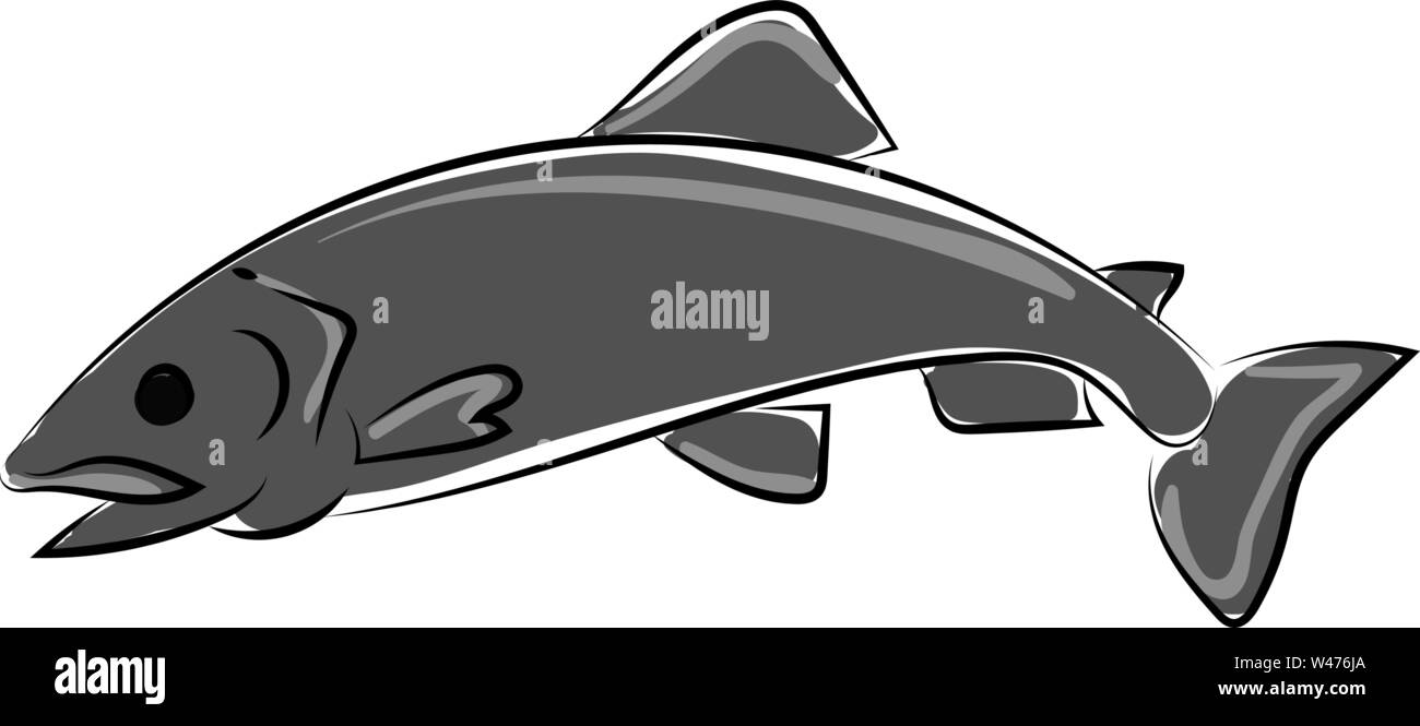 Gray fish, illustration, vector on white background Stock Vector Image ...
