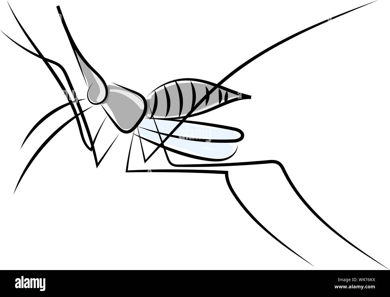 Gray bug drawing, illustration, vector on white background Stock Vector ...