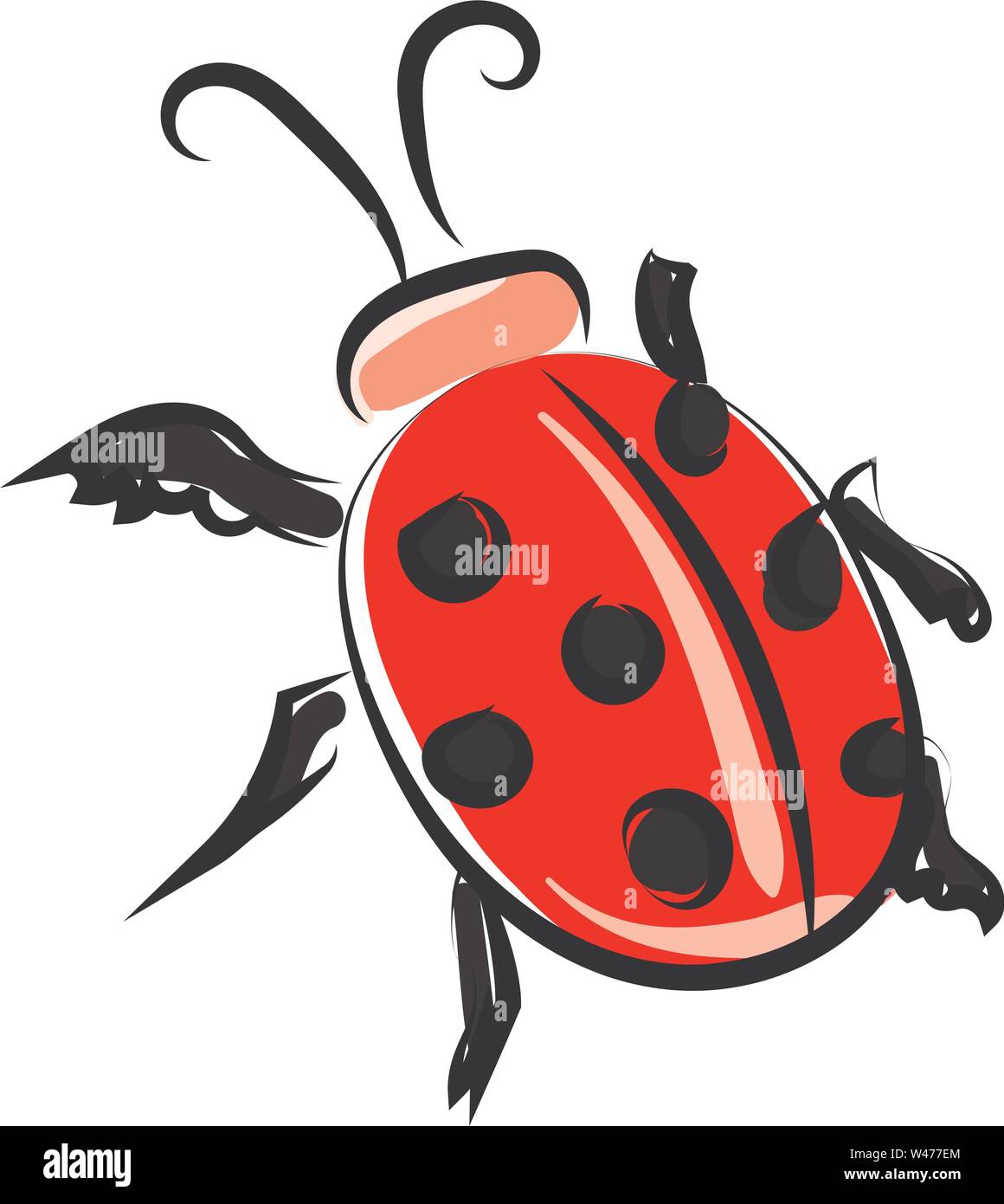 Ladybug drawing hi-res stock photography and images - Alamy