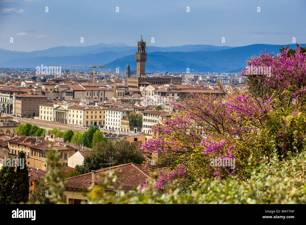 View of the beautiful city of Florence from the Giardino delle rose in ...