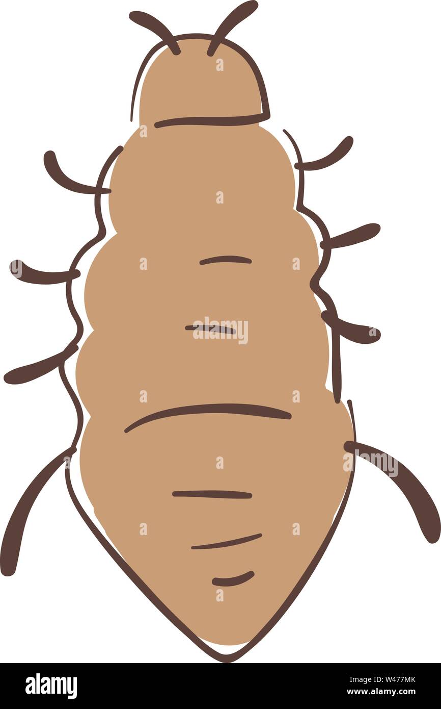 Flat lice, illustration, vector on white background Stock Vector Image ...