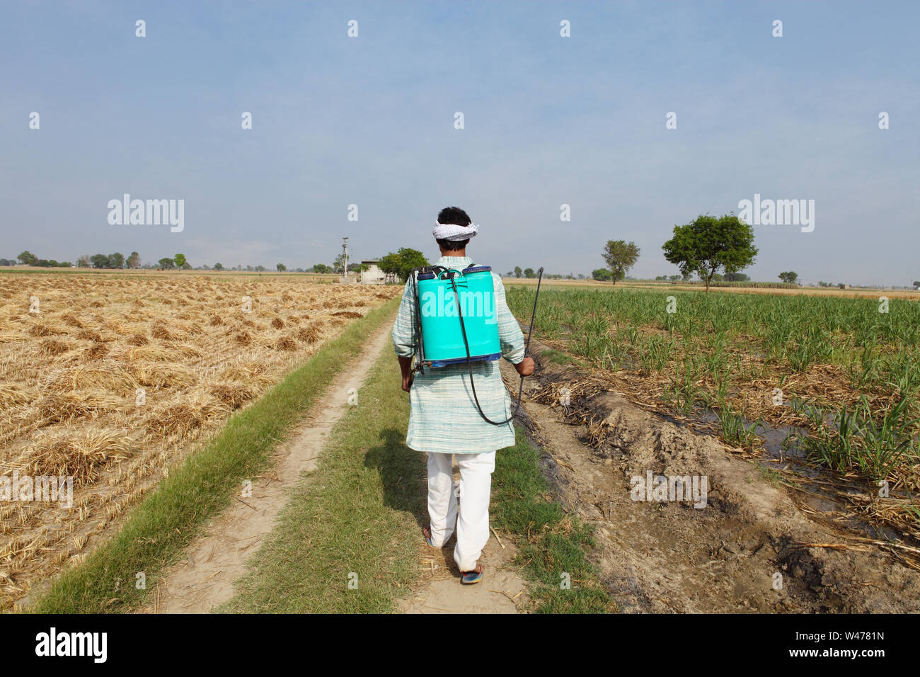 Man Spraying Pesticides High Resolution Stock Photography and Images ...