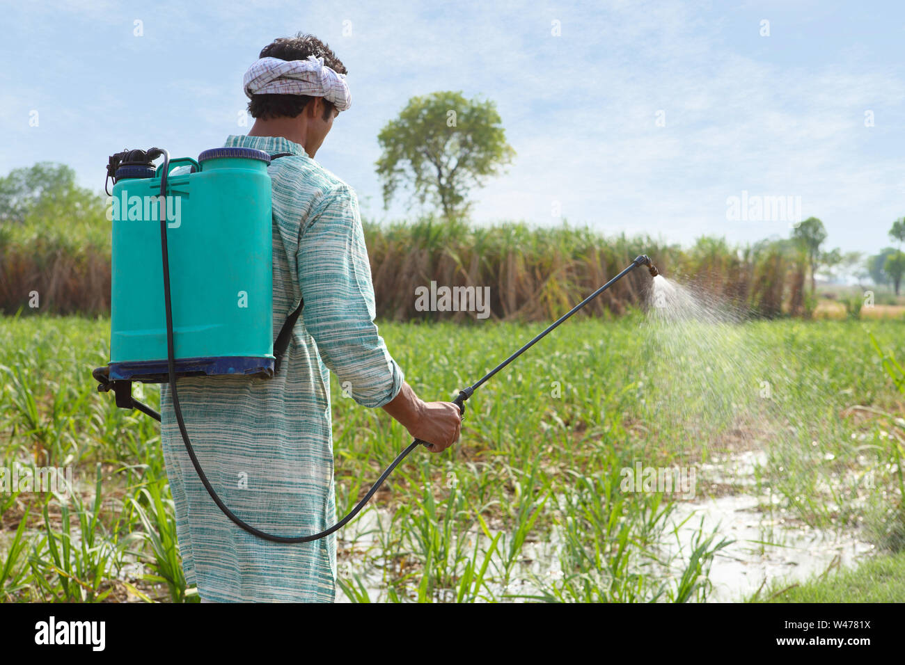 Farmer spraying pesticide on crop Stock Photo - Alamy