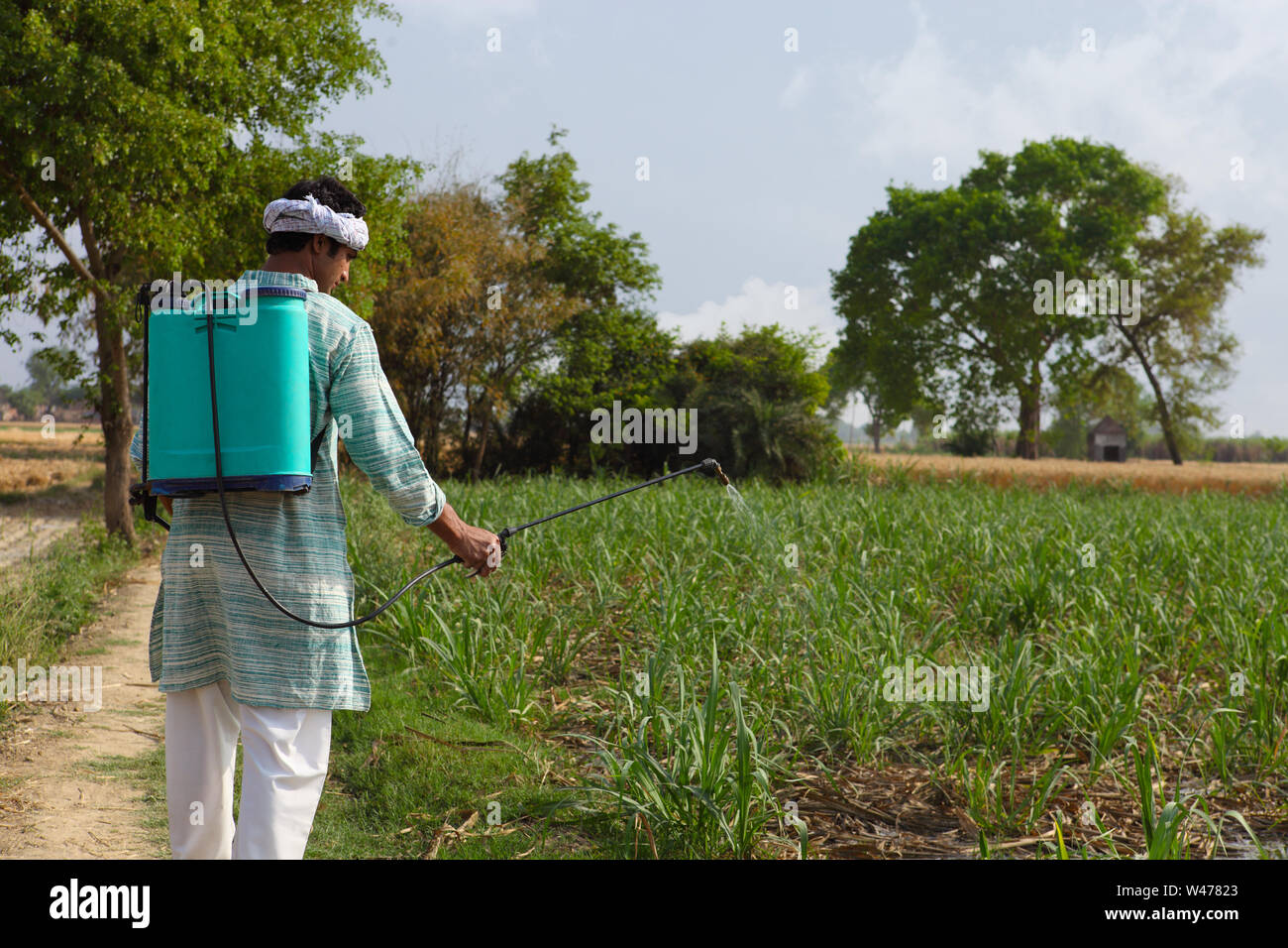 Farmer spraying pesticide on crop Stock Photo - Alamy