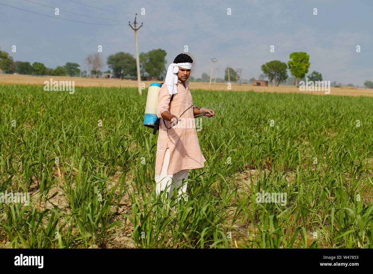 Farmer spraying pesticide on crop Stock Photo - Alamy
