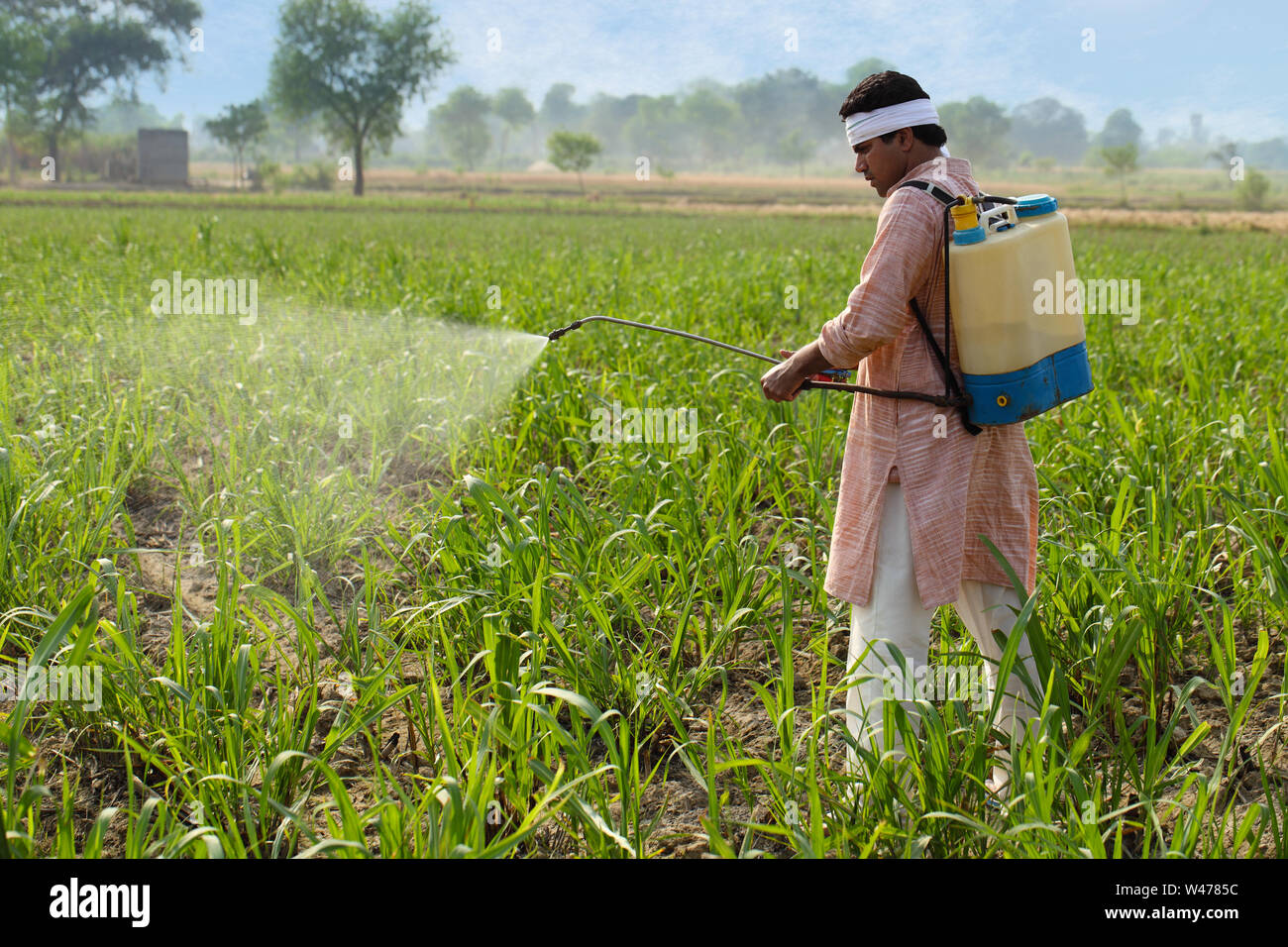 Farmer spraying pesticide on crop Stock Photo - Alamy