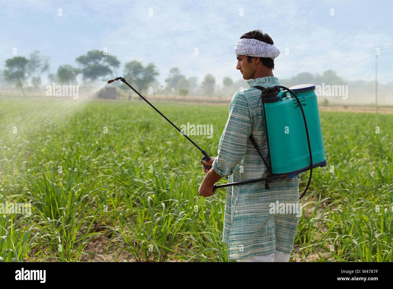 Farmer spraying pesticide on crop Stock Photo - Alamy