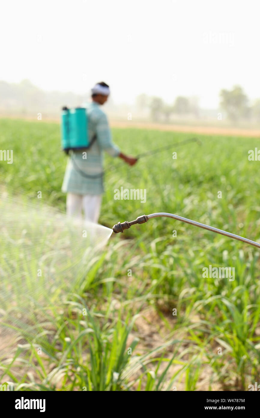 Indian farmer spraying pesticide on crop Stock Photo - Alamy