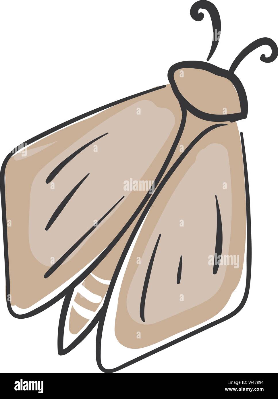 Insect moth seamless Cut Out Stock Images & Pictures - Alamy