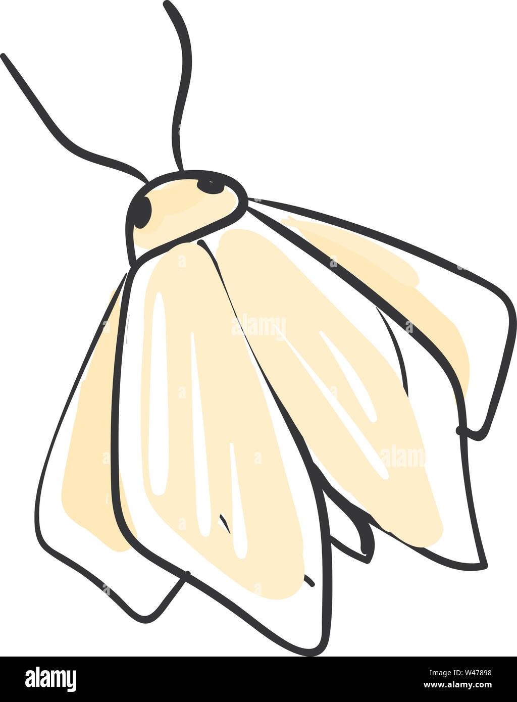 Moth drawing, illustration, vector on white background Stock Vector ...