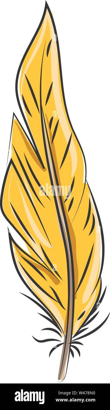 Orange feather, illustration, vector on white background Stock Vector ...