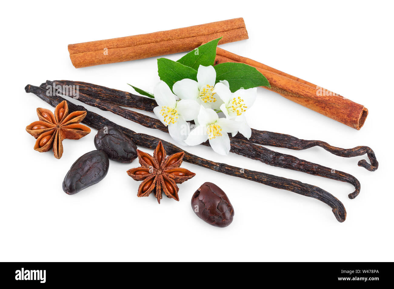 Vanilla and cinnamon sticks with cocoa bean and star anise isolated on ...