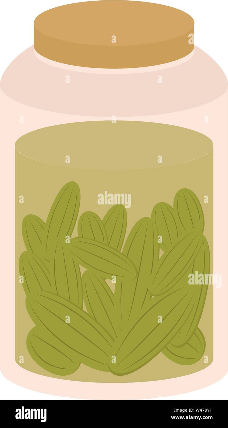 Pickles in jar, illustration, vector on white background Stock Vector ...