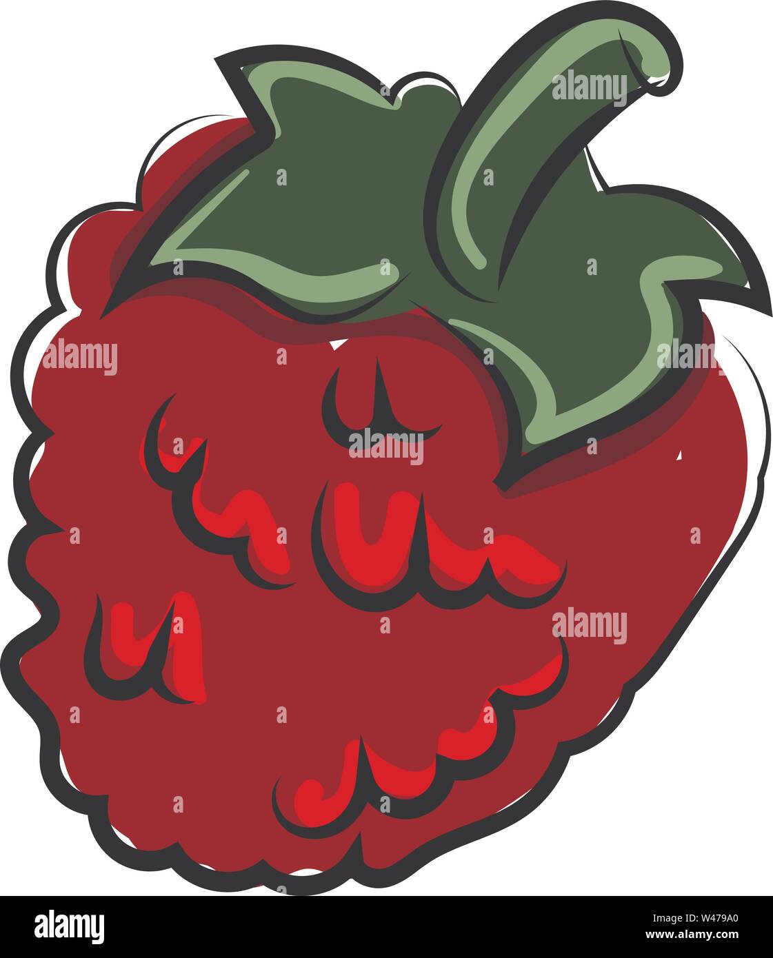 Red raspberries, illustration, vector on white background Stock Vector ...