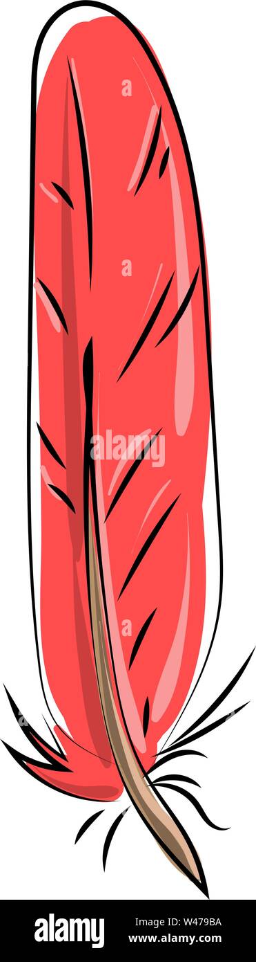 Red feather, illustration, vector on white background Stock Vector ...