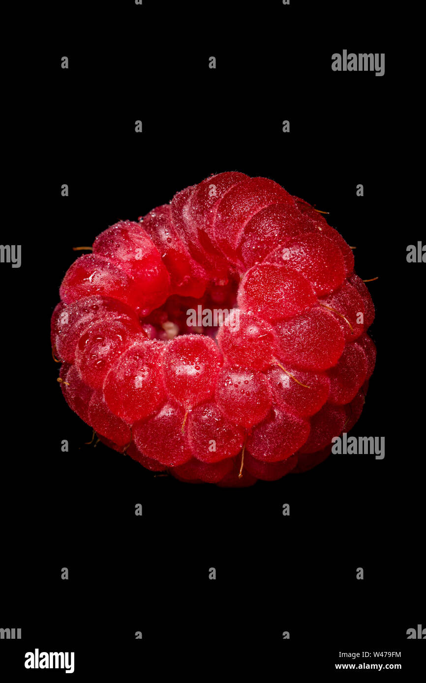 Natural fresh raspberry berry macro vitamins for humans on a dark ...