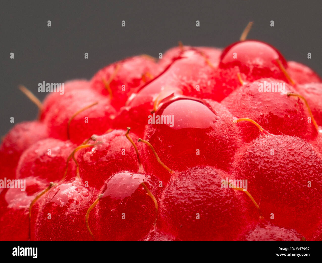 Natural fresh raspberry berry macro vitamins for humans on a dark ...