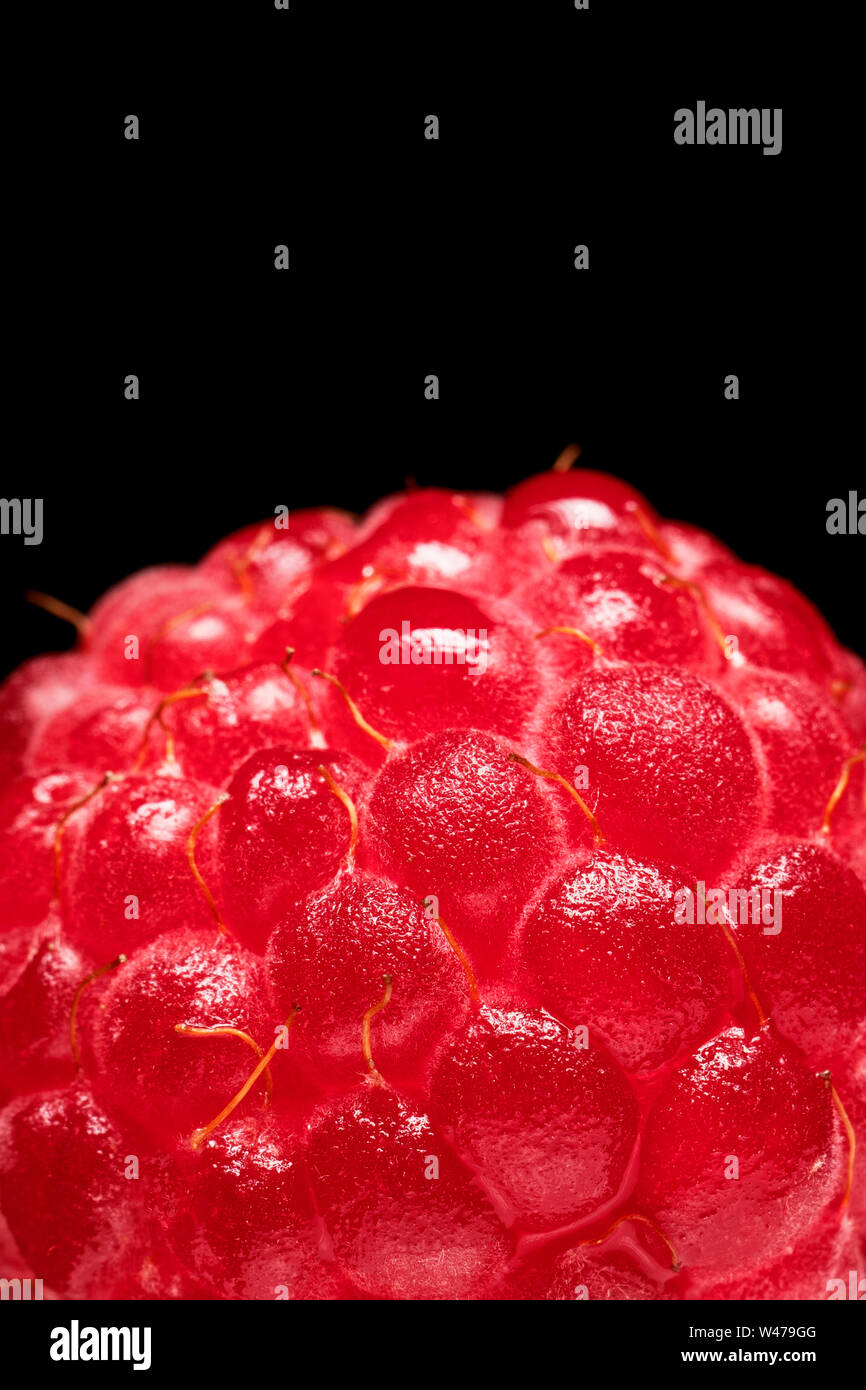 Natural fresh raspberry berry macro vitamins for humans on a dark ...