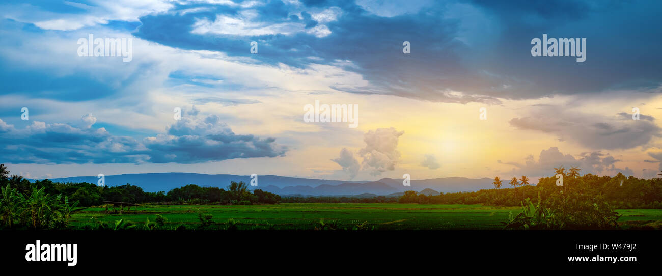 Sterile rice hi-res stock photography and images - Alamy