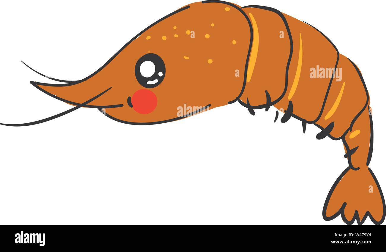Cute shrimp, illustration, vector on white background Stock Vector ...