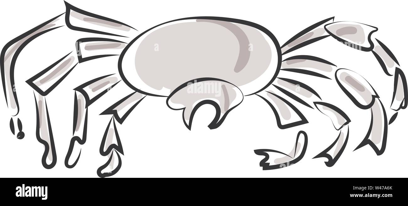 Orange spider on web Stock Vector Images - Alamy