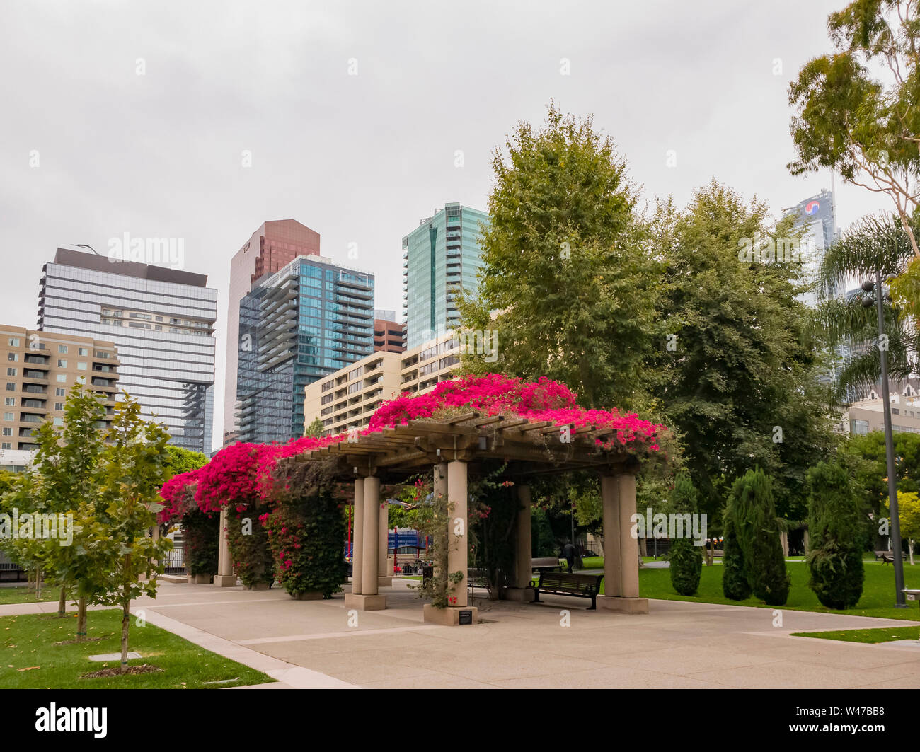 Morning view of the Grand Hope Park in downtown Los Angeles, California ...