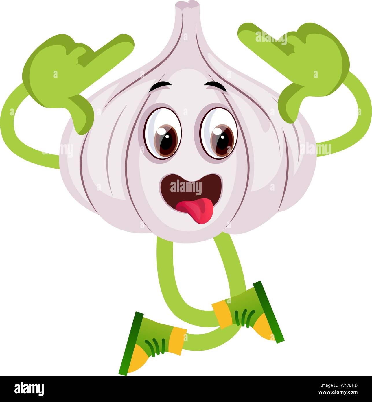 Crazy garlic, illustration, vector on white background Stock Vector ...