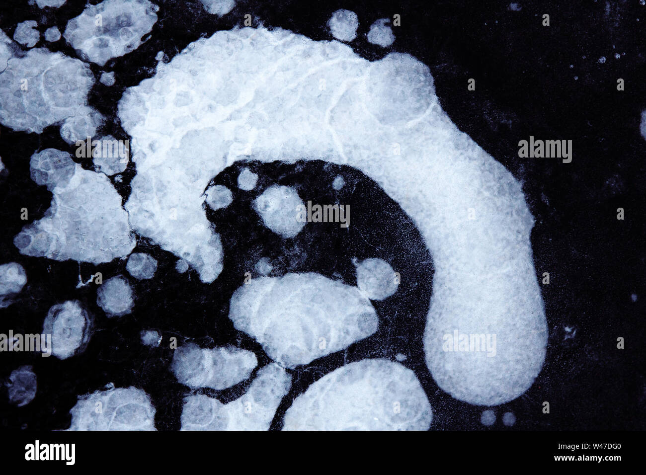 structure, pattern and crystals of newly formed ice called the nylas ...