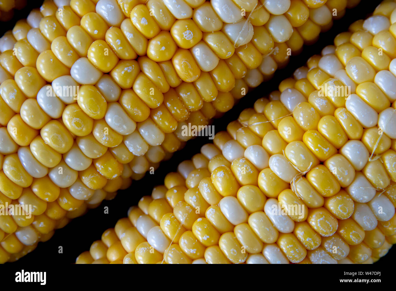 Golden sweet corn on the cob macro Stock Photo - Alamy