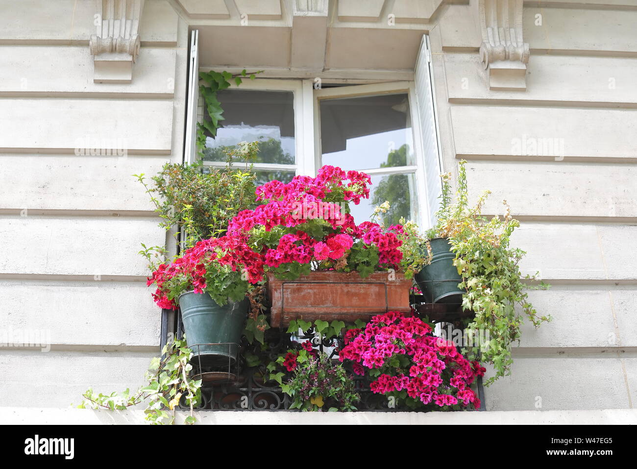 Pansy window box hi-res stock photography and images - Alamy