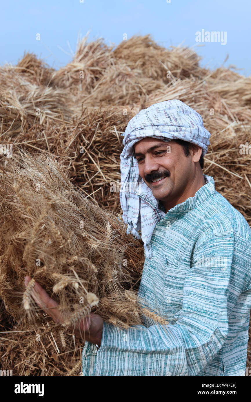 Farmer carrying bundle wheat smiling hi-res stock photography and ...