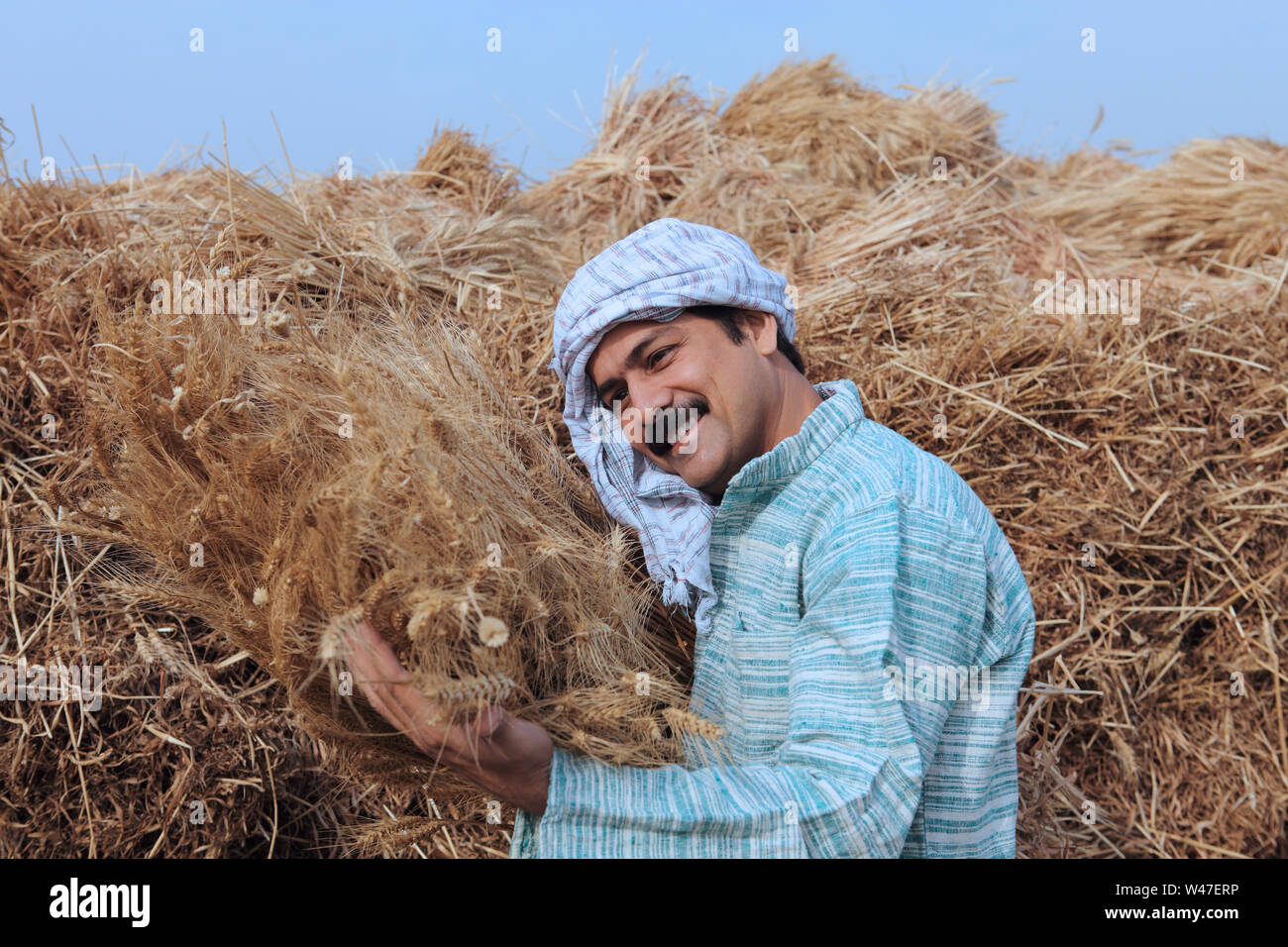 Farmer carrying bundle wheat smiling hi-res stock photography and ...