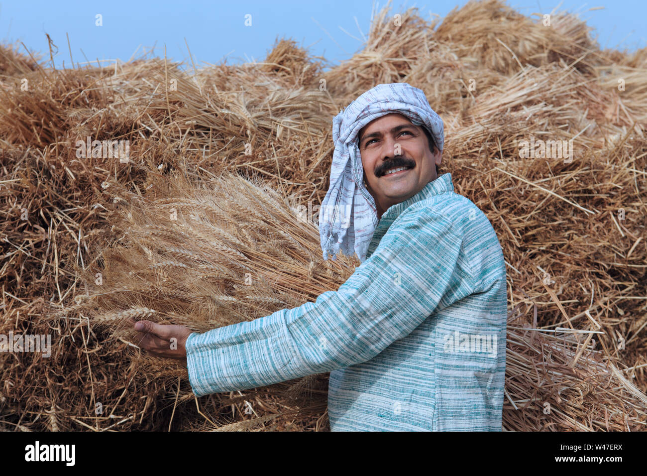Farmer carrying bundle wheat smiling hi-res stock photography and ...
