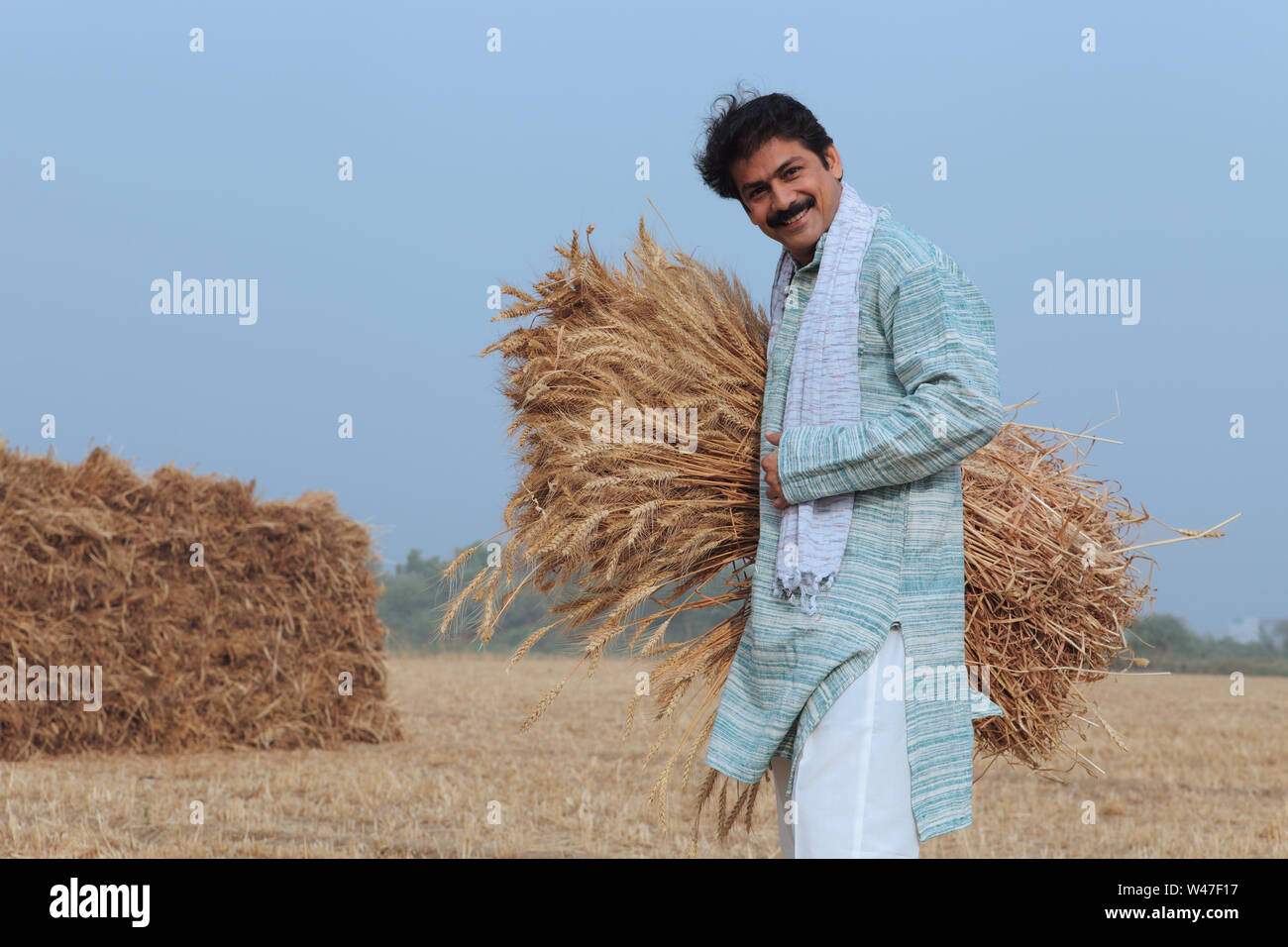 Farmer carrying a bundle of wheat crop in a field Stock Photo - Alamy