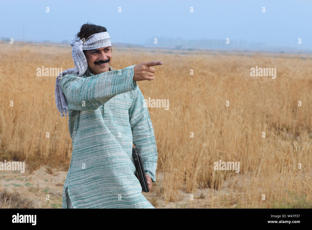 Farmer pointing and standing in a wheat field Stock Photo - Alamy