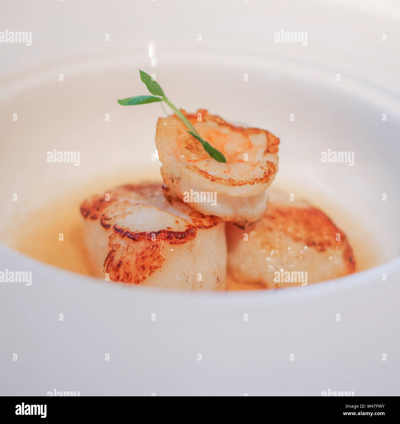 Scallop presentation hi-res stock photography and images - Alamy