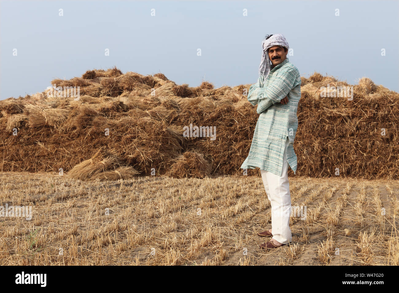 Farmer standing in harvested crop field Stock Photo - Alamy