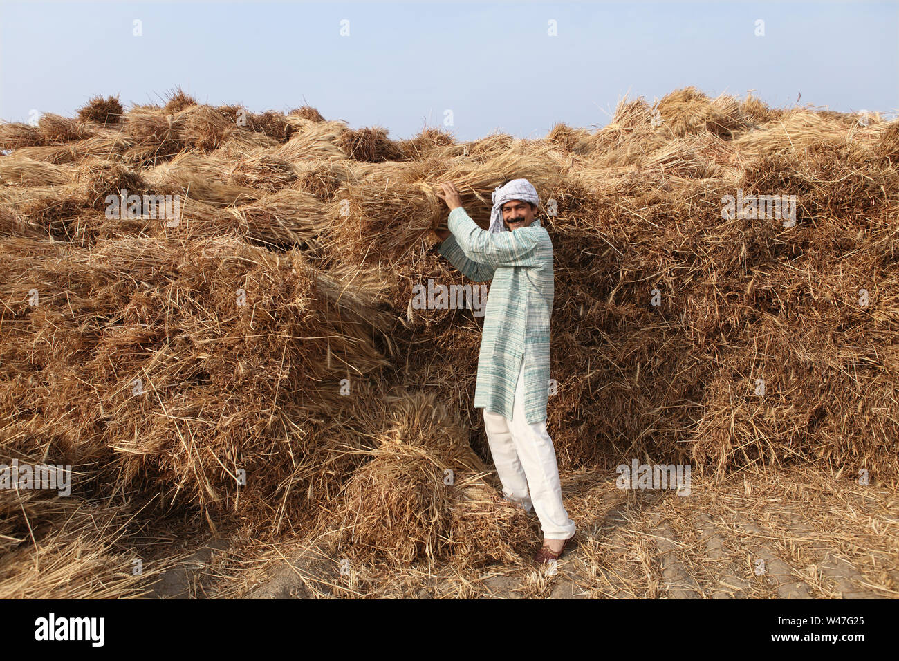 Carrying Bundle Stock Photos & Carrying Bundle Stock Images - Alamy