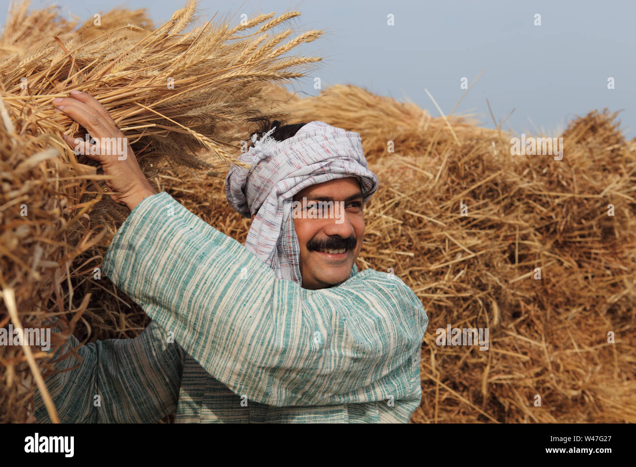 Man carrying bundle wheat hi-res stock photography and images - Alamy