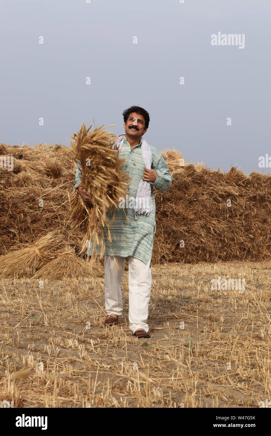 Farmer carrying a bundle of wheat crop in a field Stock Photo - Alamy