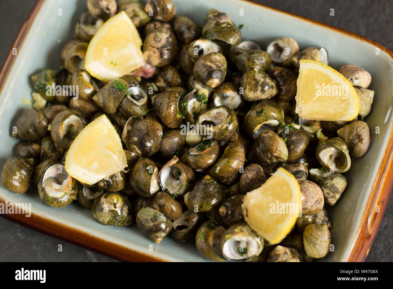 Eating shells hi-res stock photography and images - Alamy
