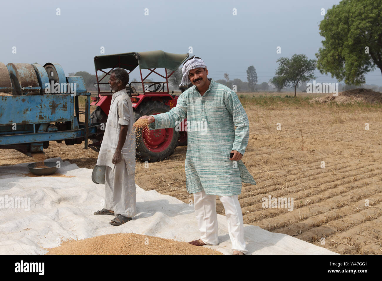 Old grain harvester working in hi-res stock photography and images - Alamy